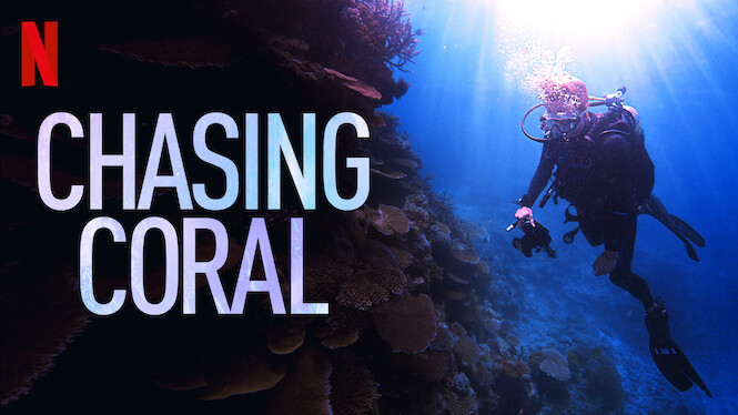 Chasing Coral (2017) - Netflix | Flixable